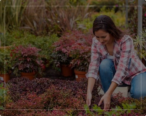 Home - EZ Step Products