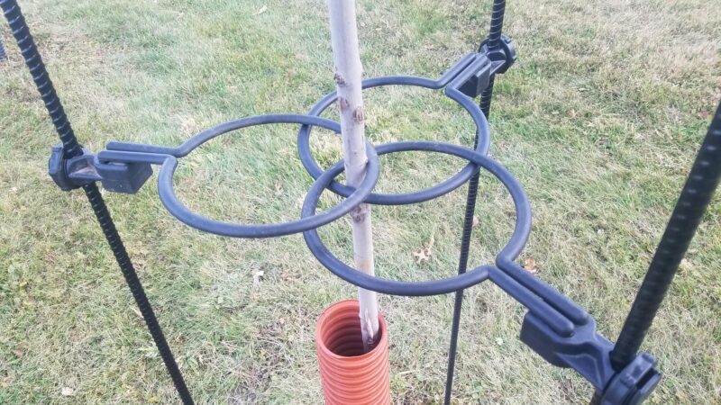 EZ Step Sapling Support Systems | for Strong, Healthy Trees